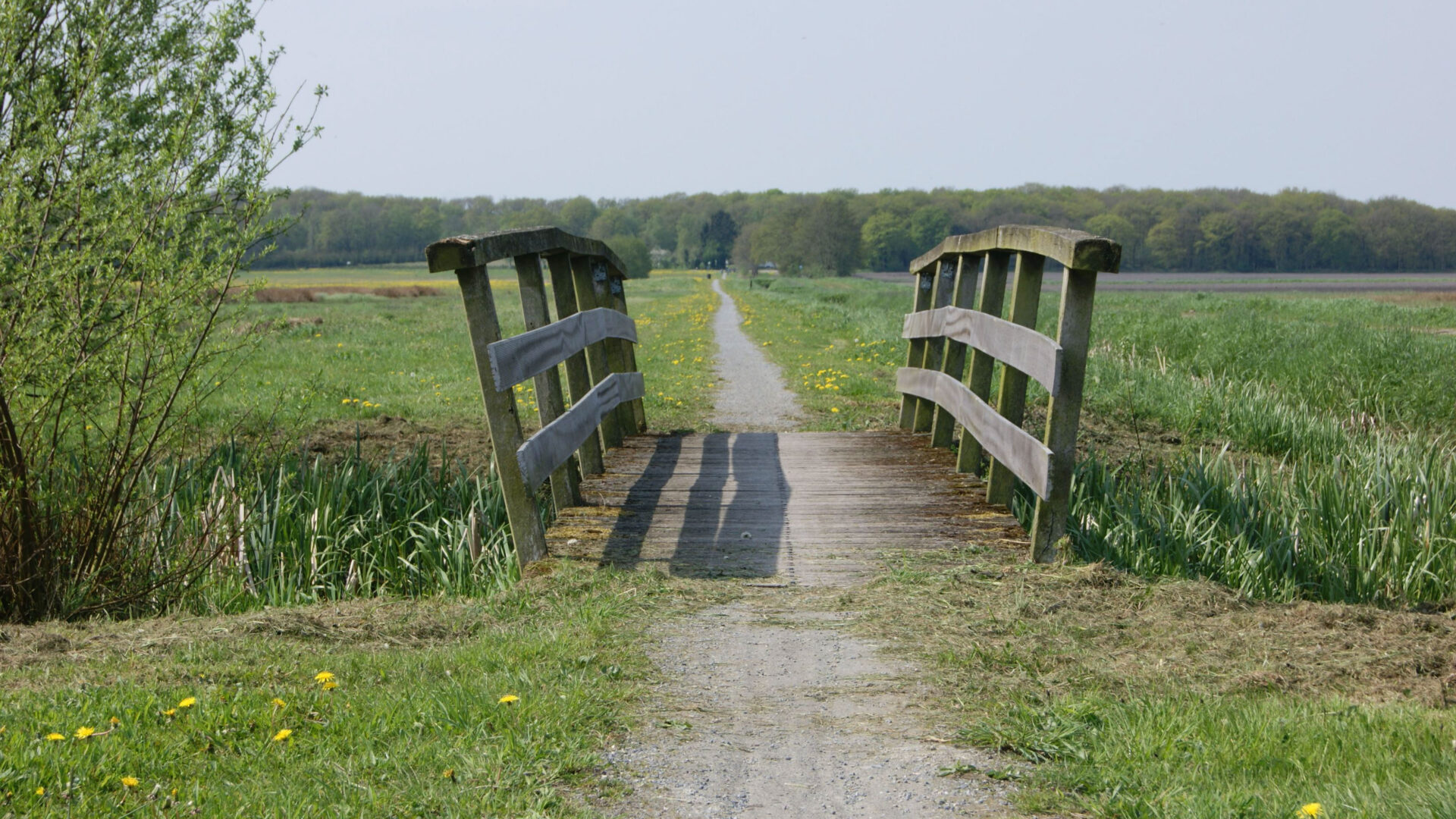 Ons nij begun maken we samen - Nij Begun